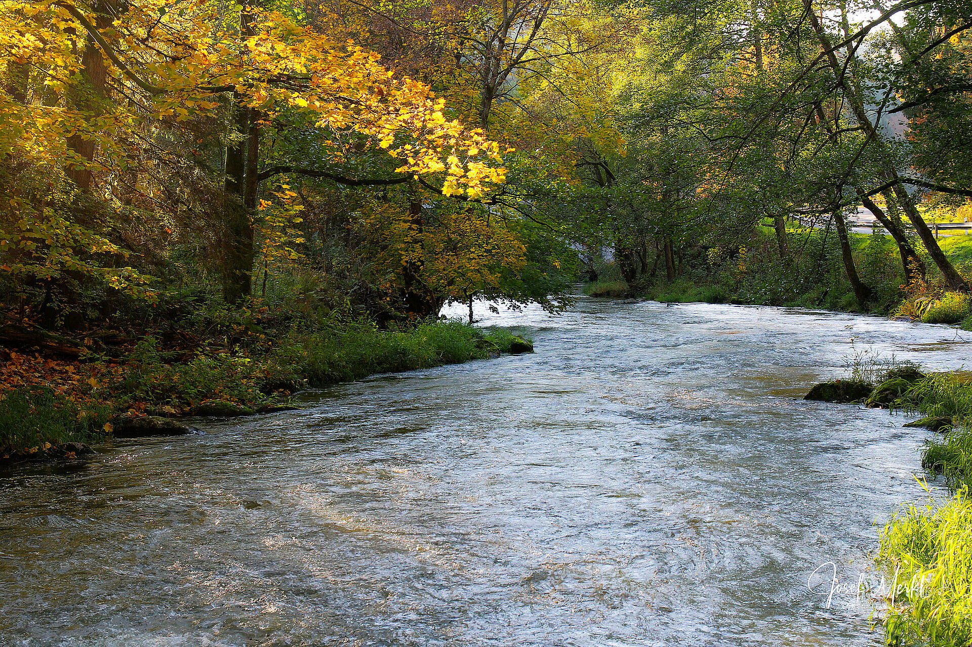 Erlebnis Schwarzach - Fotoimpressionen - BUND Naturschutz in Bayern e.V.